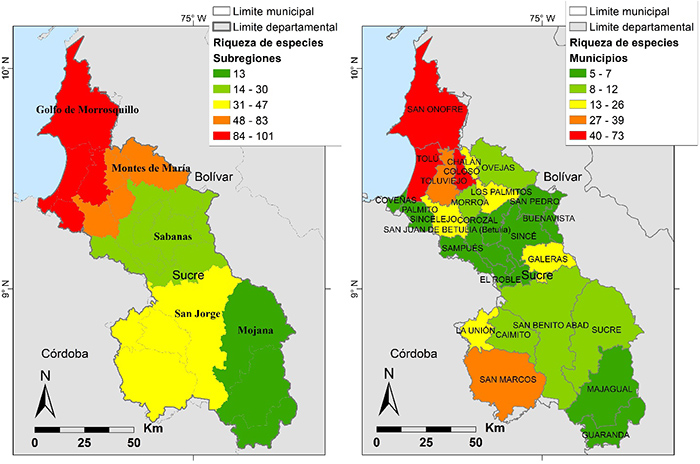 Mamíferos del departamento de Sucre, Colombia